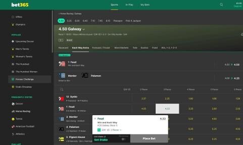 Best Horse Racing Betting Sites 2024 (With Data)