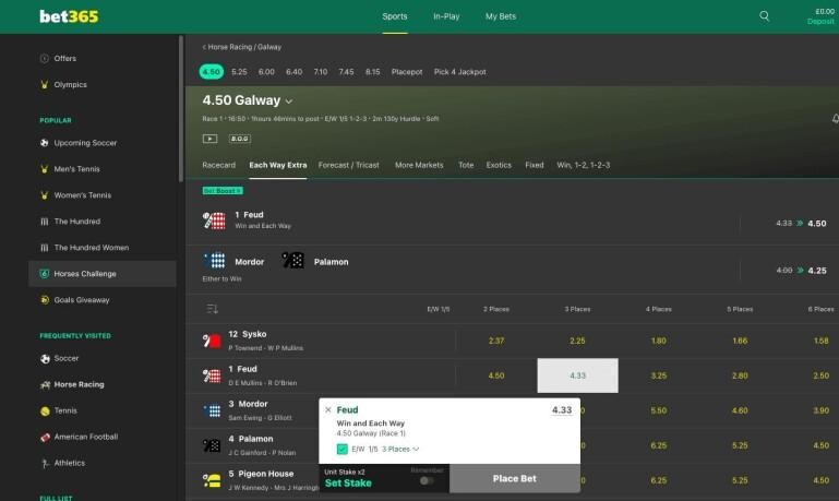 Best Horse Racing Betting Sites 2024 (With Data)