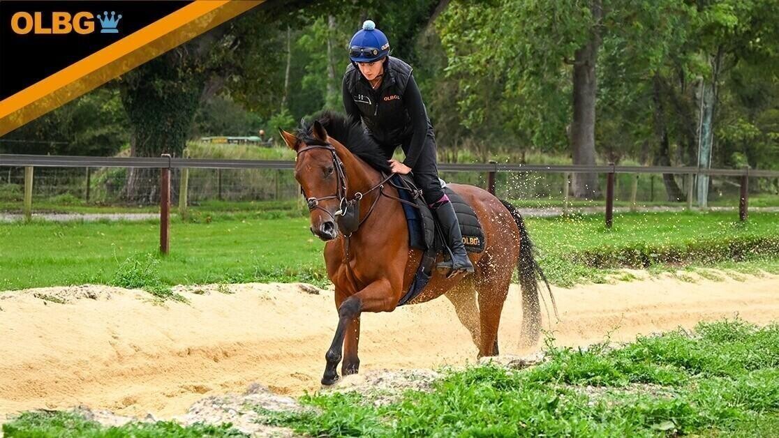 Harry Derham Stable Tour: 2025/26 Jumps Season Preview - OLBG.com