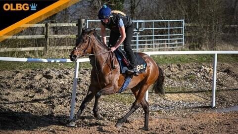 Harry Derham Stable Tour: 2025/26 Jumps Season Preview - OLBG.com