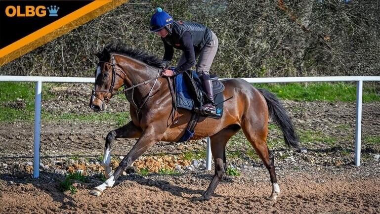 Harry Derham Stable Tour: 2025/26 Jumps Season Preview - OLBG.com