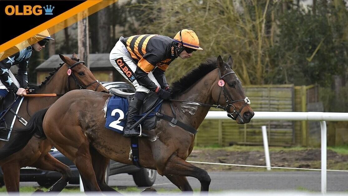 Harry Derham Stable Tour: 2025/26 Jumps Season Preview - OLBG.com