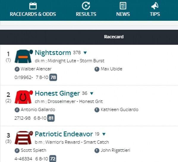 🏇 [Revealed] How to Read Horse Racing Form and Win