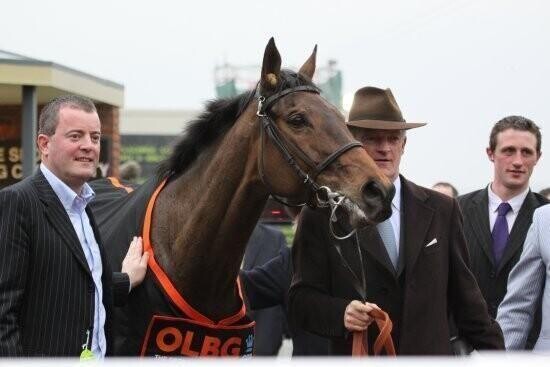 🏇 [Revealed] How to Read Horse Racing Form and Win