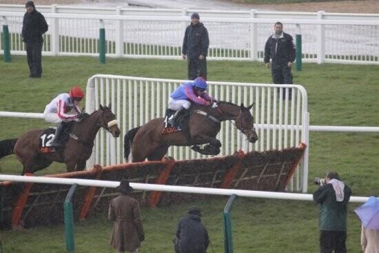 🏇 [Revealed] How to Read Horse Racing Form and Win