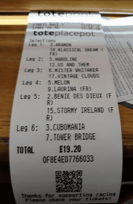 Cheltenham Festival Placepot Guide - OLBG.com