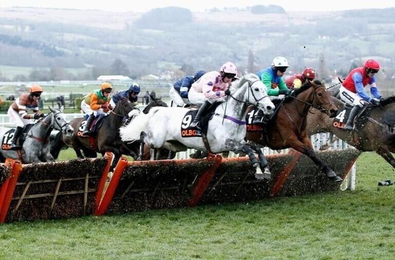 Understanding National Hunt Racing - OLBG.com