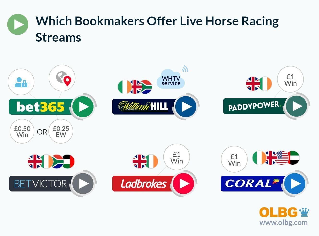 Best Horse Racing Betting Sites 2024 (With Data)